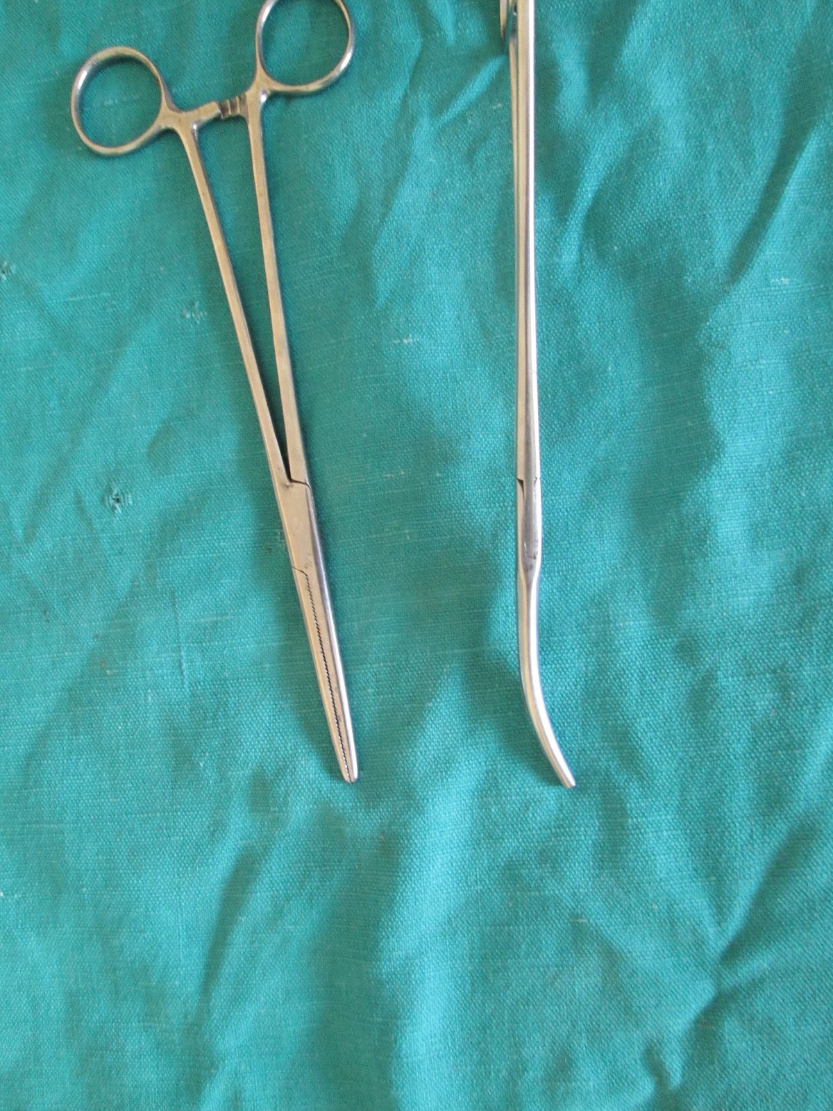 Gandhi Medical College: Surgical Instruments - Forceps