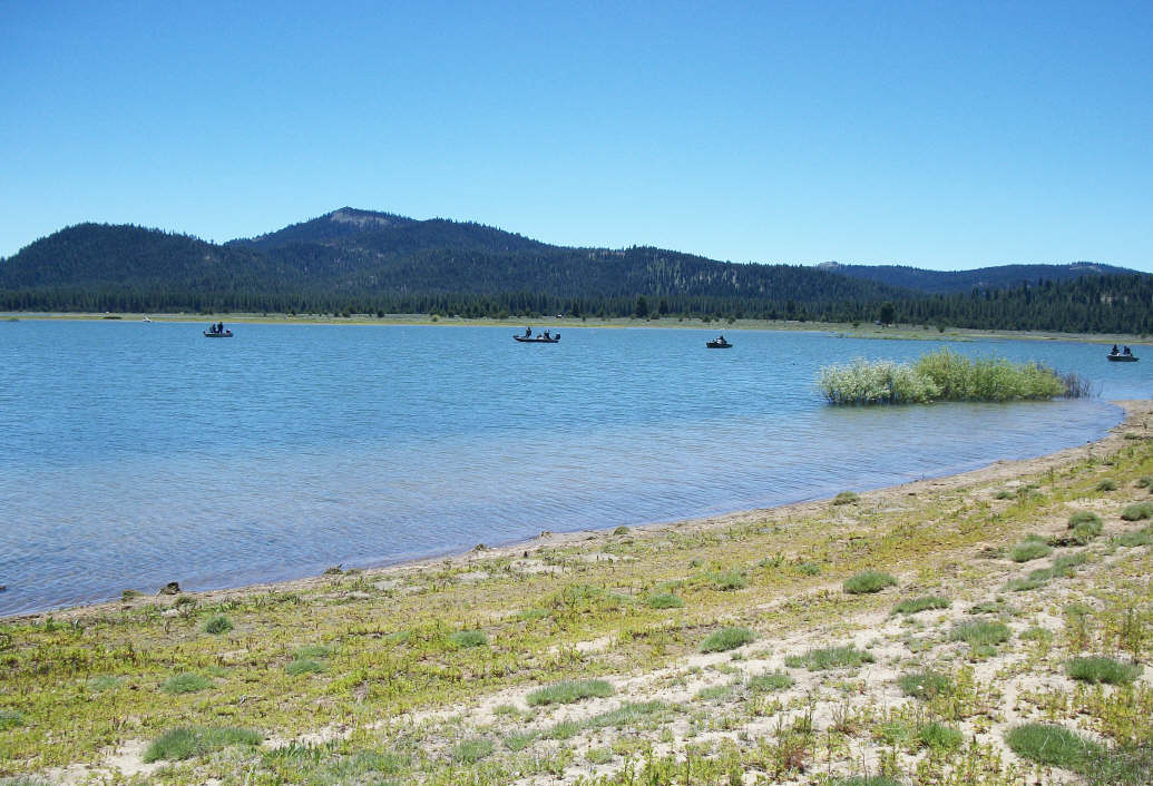 Jon Baiocchi Fly Fishing News: Damsel Nation Invades Lake Davis