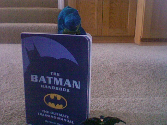 Charlin At The Library: The Batman Handbook: The Ultimate Training Manual
