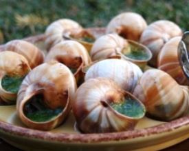 Behind the French Menu: Escargots - Snails. Snails in French Cuisine ...