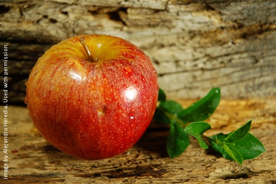 TRIBEWORK: 5 Remarkable Differences Between Right and Privilege