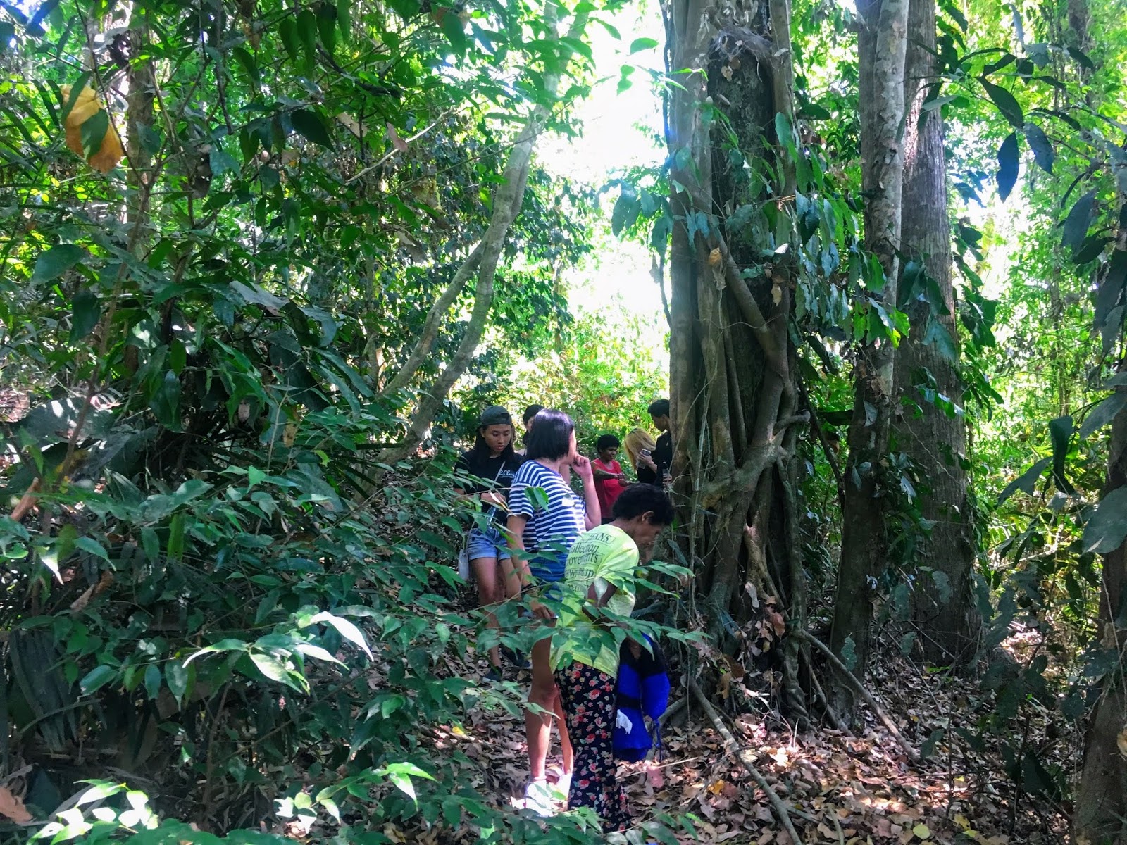 Pamulaklakin Forest Trail in Subic Bay Blog Review