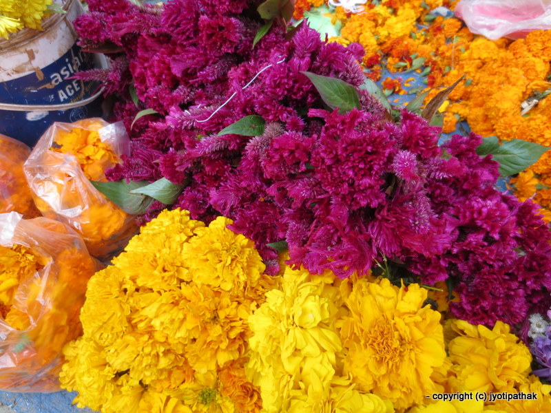 Taste of Nepal: 2016 - Happy Deepawali-Tihar-Bhai Tika