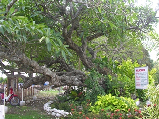 discover tubungan: THE HIDDEN TREASURES OF TUBUNGAN