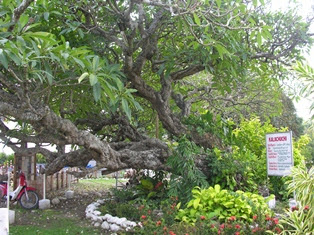 discover tubungan: THE HIDDEN TREASURES OF TUBUNGAN