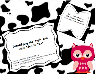 The Coaching Network: Identifying the Topic and Main Idea in Text