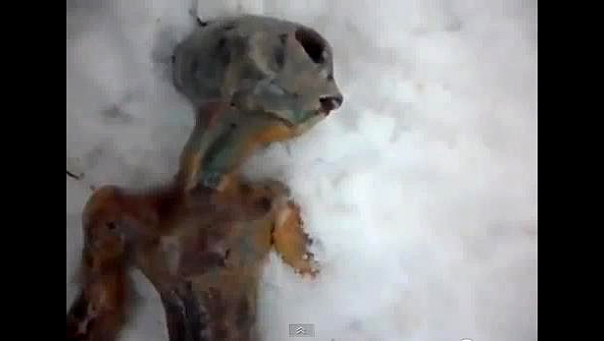 Russians Discover Alien Remains: Real Alien Discovered