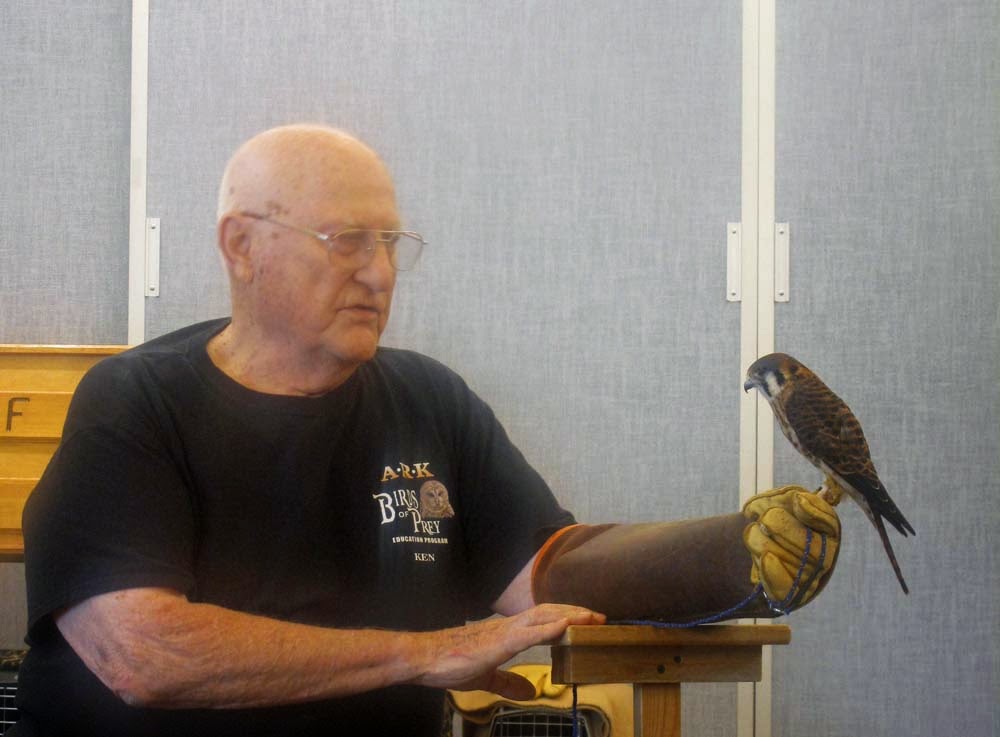 Our "Wright"-ing Pad: Birds of Prey - A Raptor Education Program @ the ...