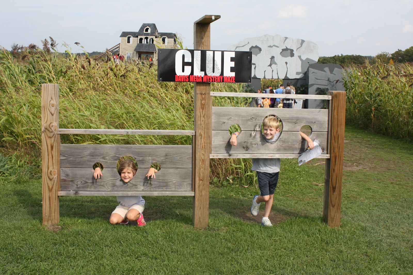 Superheroes and Princesses: Davis Mega Maze