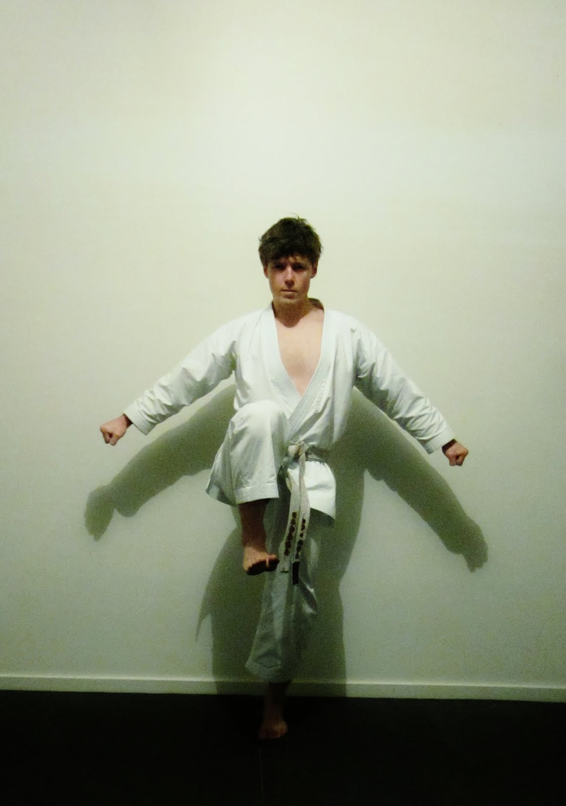 André Bertel's Karate-Do: Mae-geri