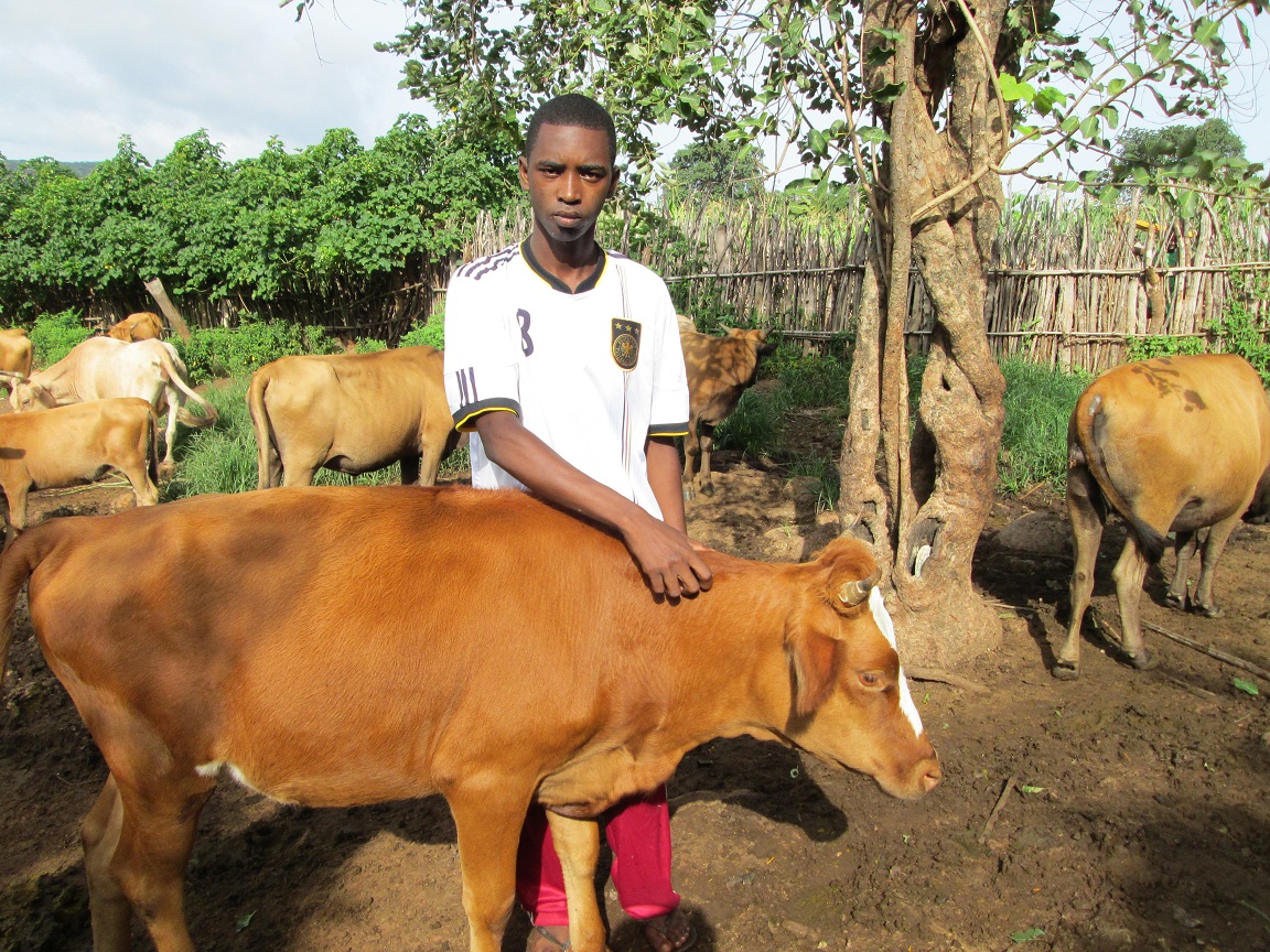 Andrew in Senegal: Bubakar and his cow