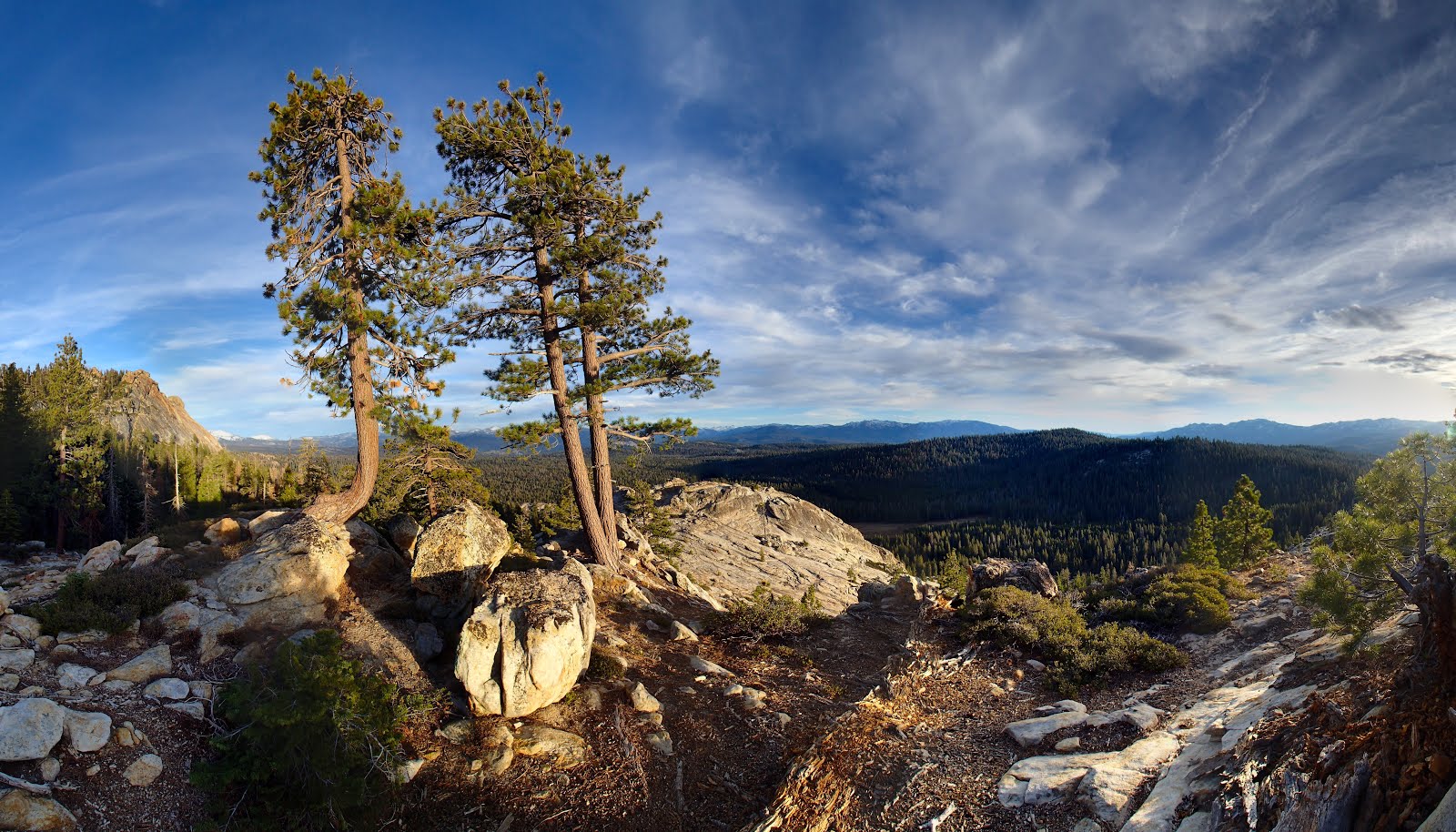 NorCal Dog Trails: Jackass Lakes
