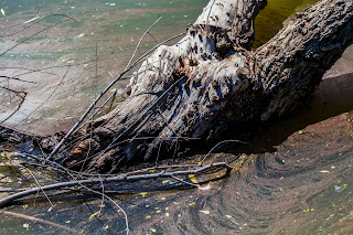 Walking Arizona: Waterlogged