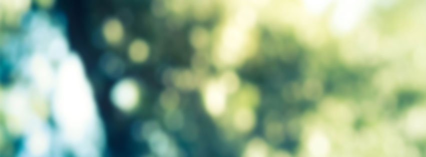 6 Free Spring Facebook Timeline Covers | ibjennyjenny Free Resources