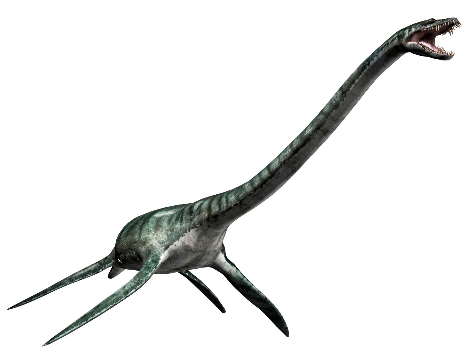 Styxosaurus - Alchetron, The Free Social Encyclopedia