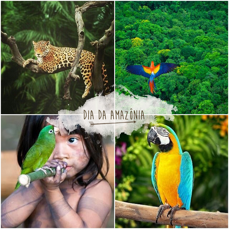 TANTO FAZ: Dia da Amazônia reflete importância da floresta para o Planeta