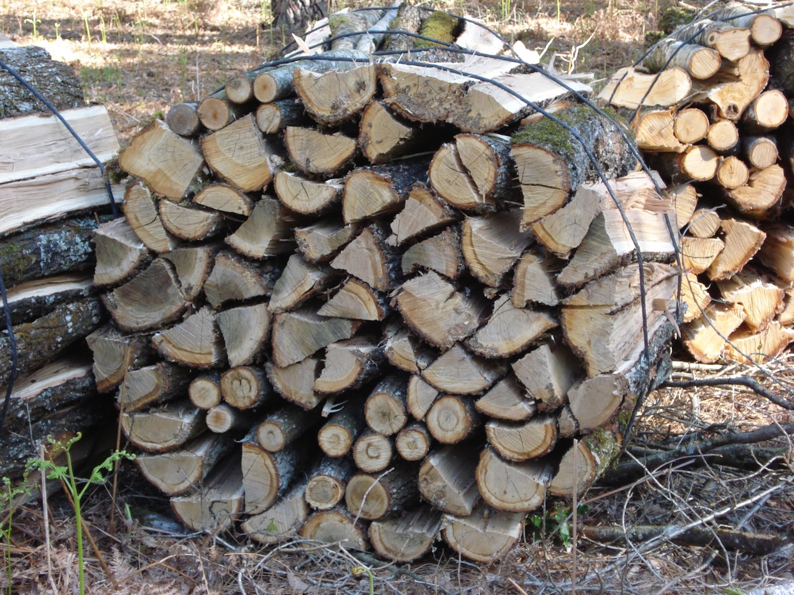 Photos Cordages : Toron pour fagoteuse - Qualité Supérieure