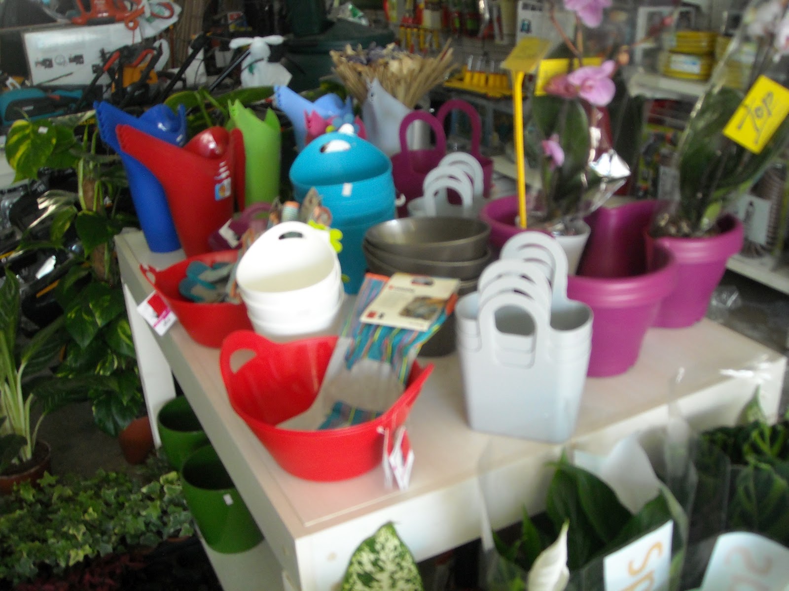 ΕΛΕΥΣΙΝΑ ΔΥΤΙΚΗ ΑΤΤΙΚΗ