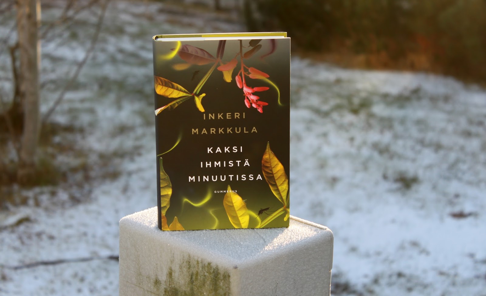 Opus eka: Inkeri Markkula: Kaksi ihmistä minuutissa