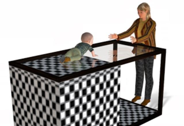 Gibson and walk's visual cliff study | Psychology OCR notes