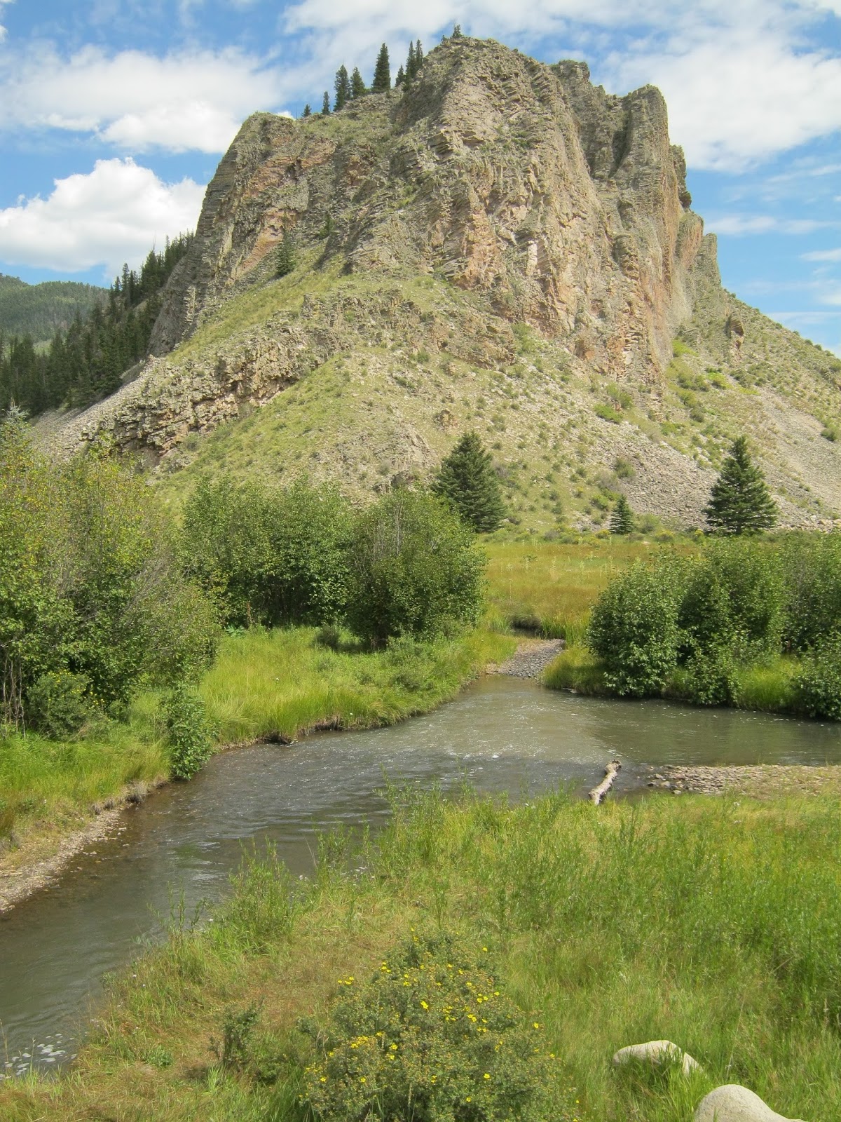 Highz's Ramblings: The Valley of Life