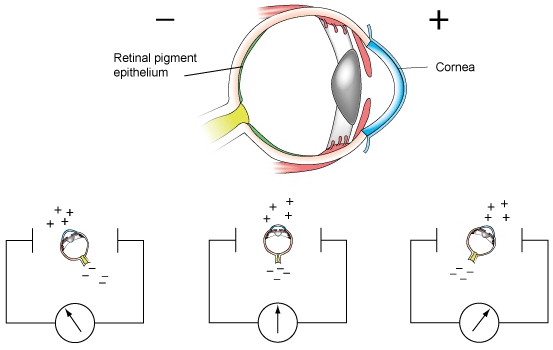 FINAL YEAR PROJECT: WEEK ONE also