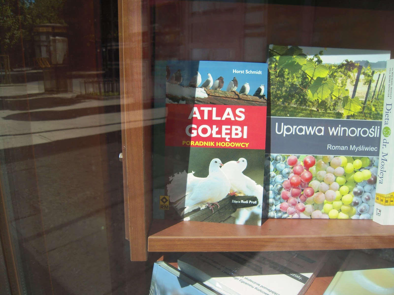 Becoming Polakiem: Birds of the Planty: Lesson One, The Pigeon