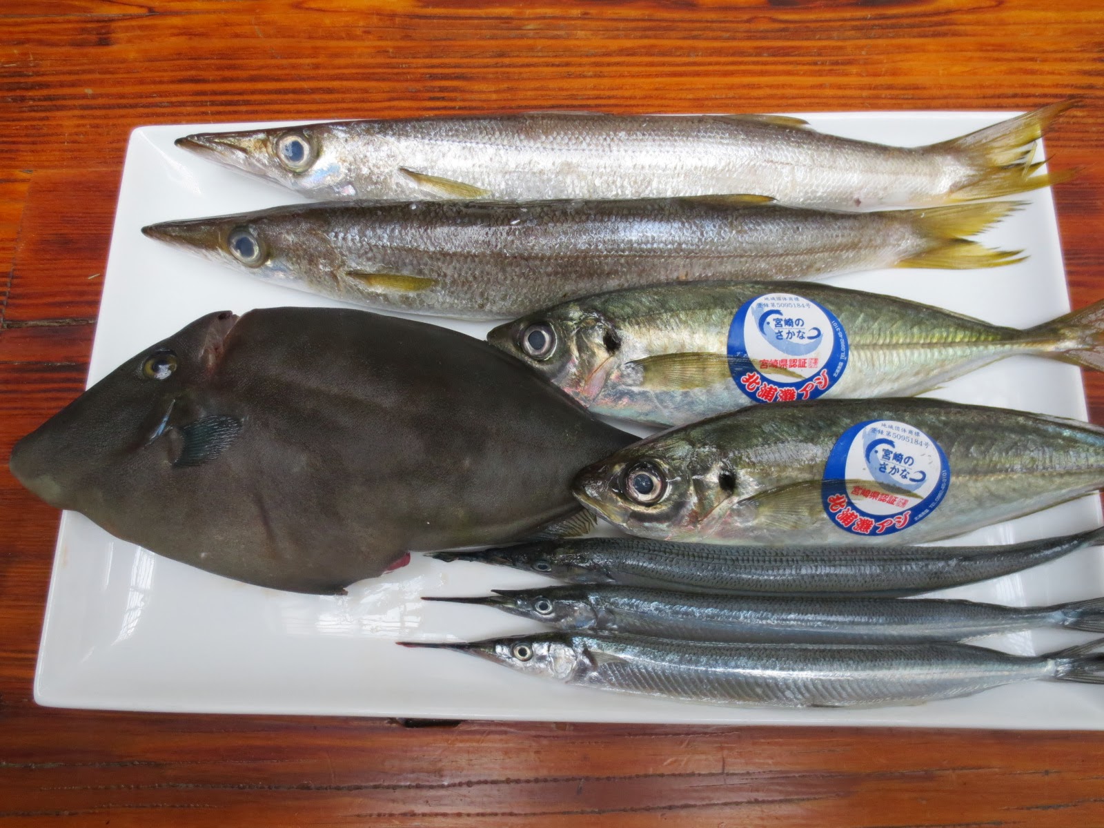 66 SOUTH 2ND STREET BROOKLYN NY