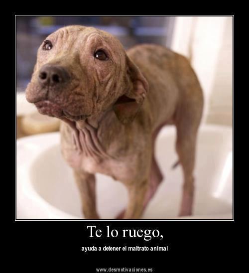 Desmotivaciones Argentina