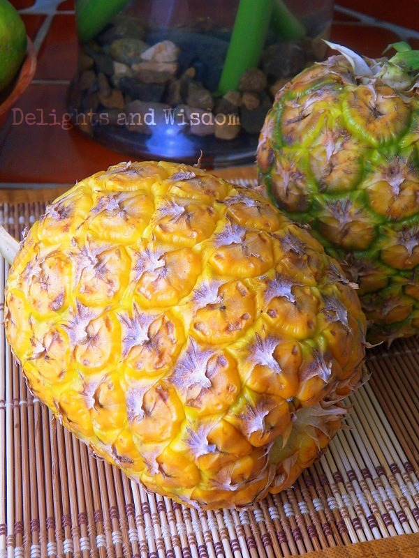 Delights and Wisdom: Dos Piñas sin Moñas, Pineapples without Crowns