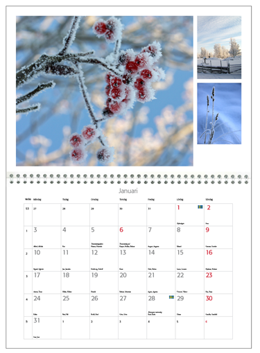 Almanackor: Almanacka med årstidsbilder