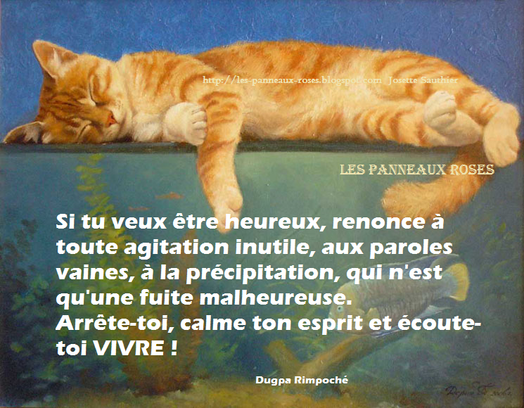 Les Panneaux Roses Citation De Sagesse