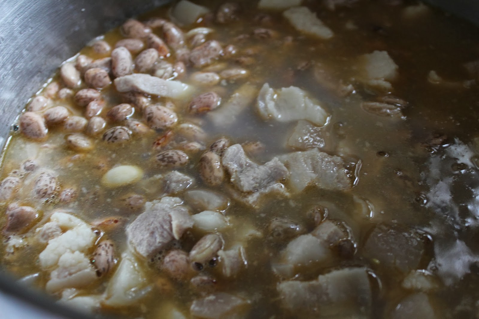 Stay, Stray, Play and Feast: Penafrancia Fiesta; All Day Home Cooked Feast