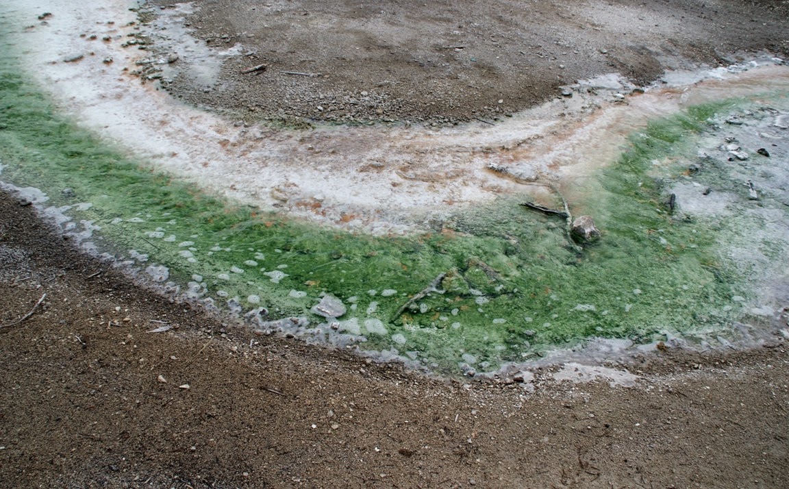 A photo, A thought............: Place: Colored extremophiles of ...
