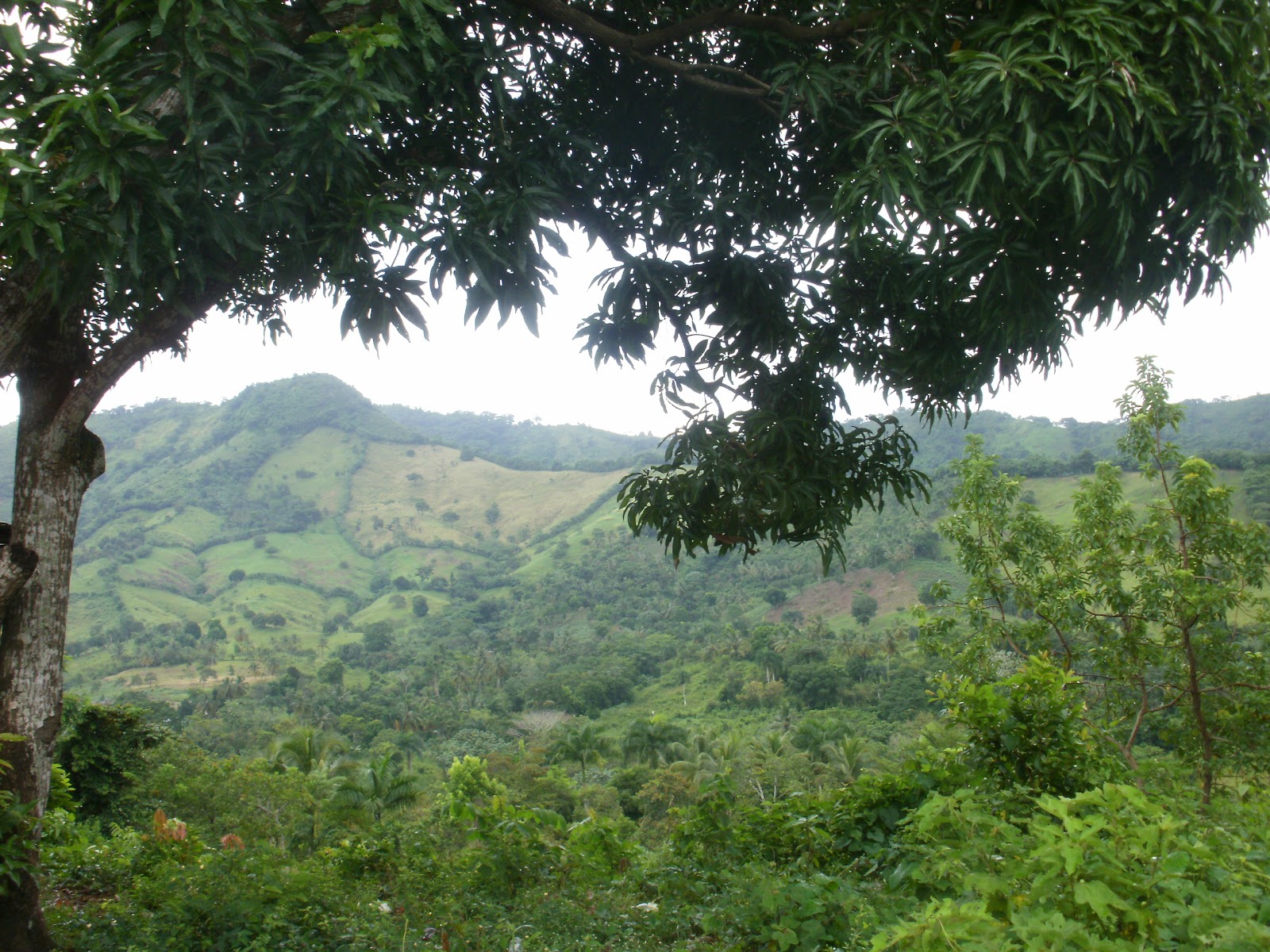 Espejismo de Luna Llena: El Chacaro, Yamasa.