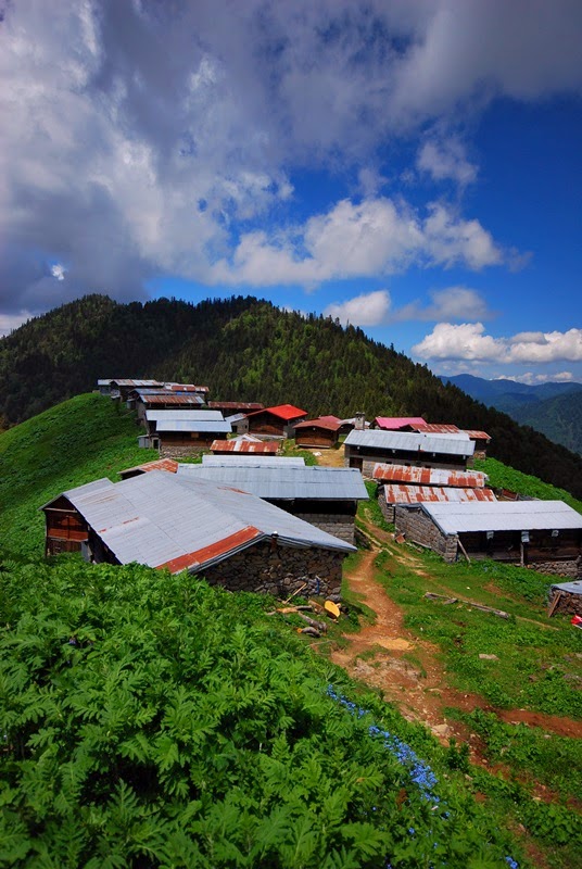 Yürüyüs ve Bisiklet Rotaları: RiZE YAYLALARI
