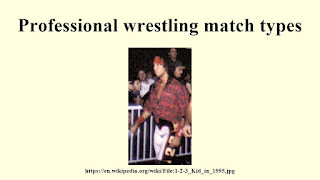 Professional wrestling match types