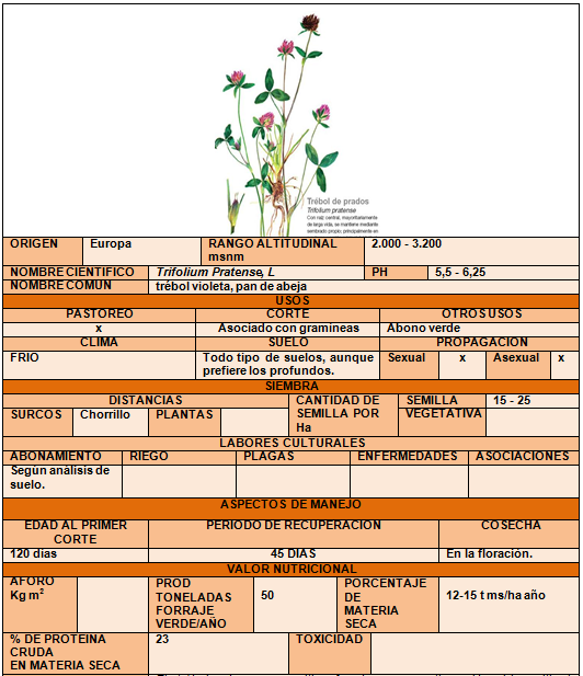 AGROSTOLOGIA