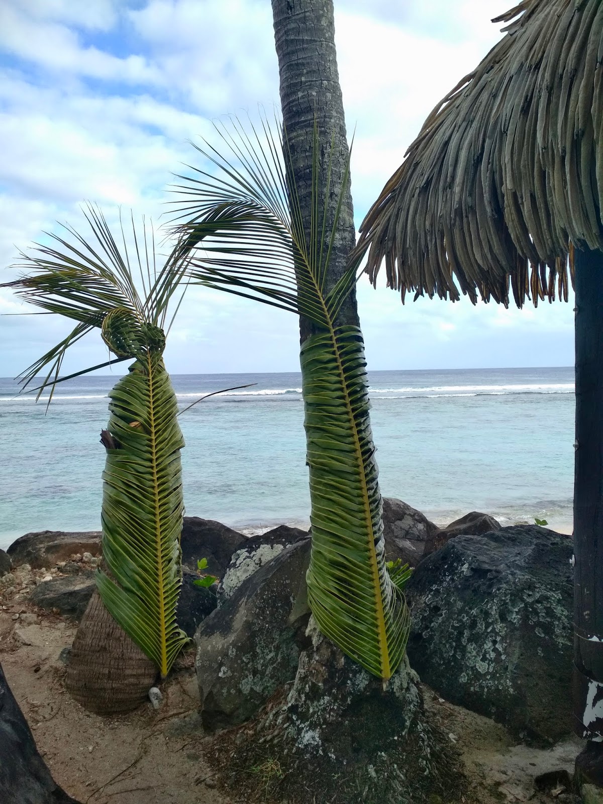 Mercier Kiwi Adventures: Rarotonga Part 1: Welcome to the Island