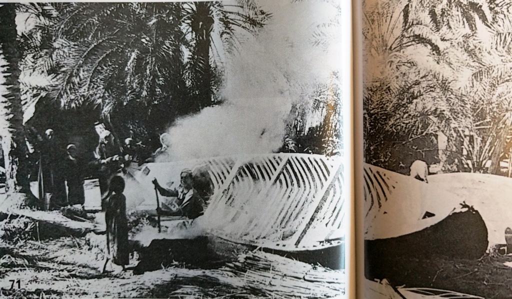 Indigenous Boats: The Boats of Iraq's Madan