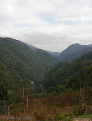 Nature photos from an Amateur Naturalist: Bihor Mountains, Romania ...