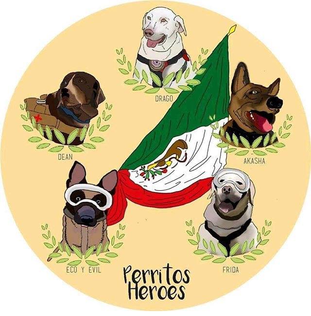 Ella es Frida, la perrita de rescate que se convirtió en la heroína de ...