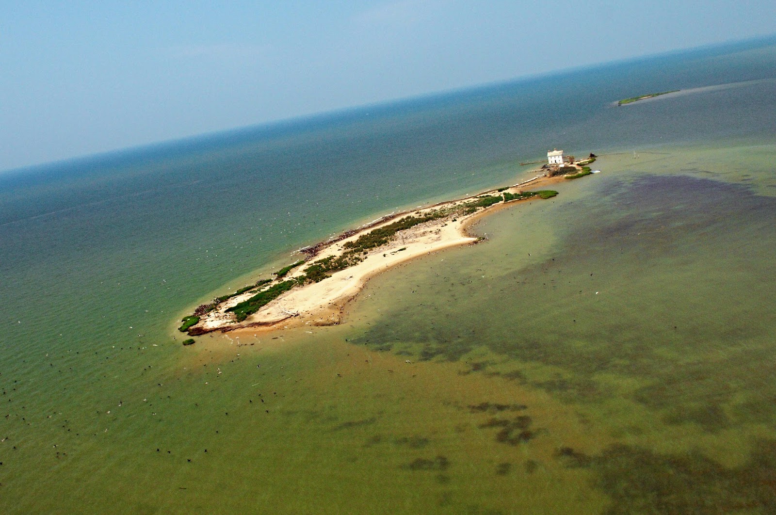 Deserted Places: Holland Island in the Chesapeake Bay