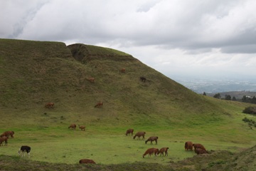 Parque Arqueológico Cochasquí, la evidencia más importante de la ...