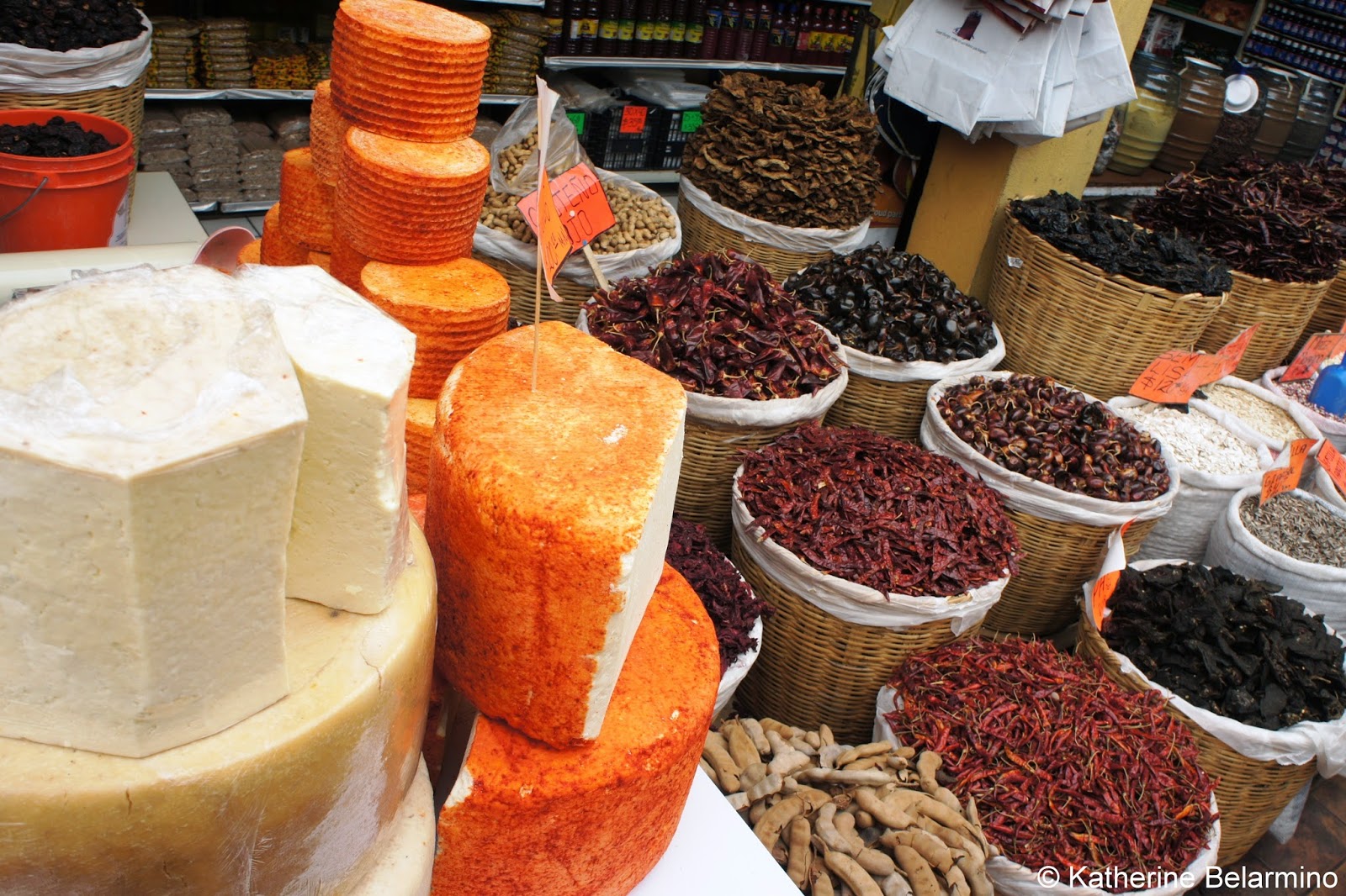 10 Things to Do in Tijuana (That Don’t Involve Tequila) | Travel the World