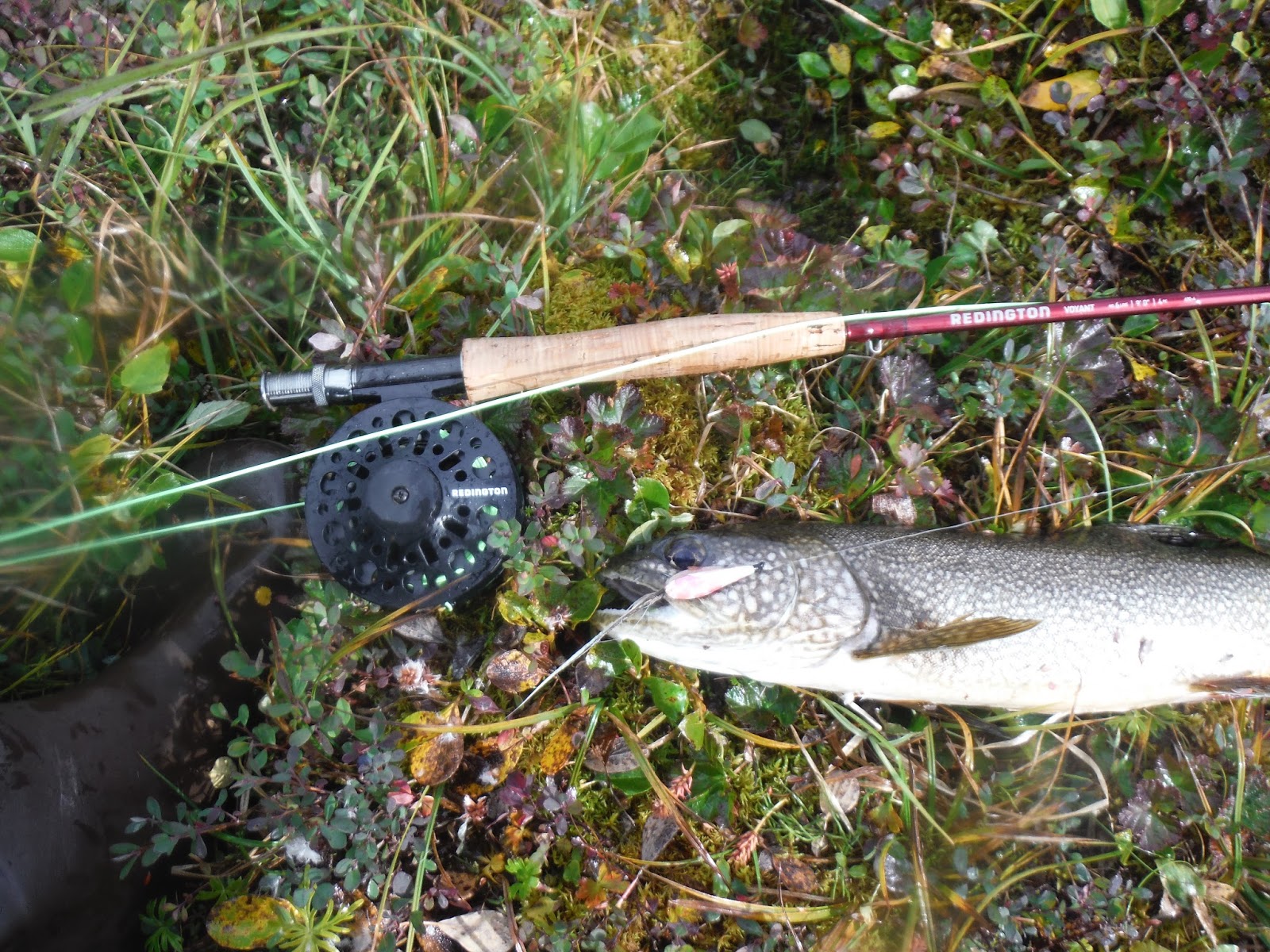 Alaska Fly Tyer: The Sag (Sagavanirktok) River Float July-August 2016