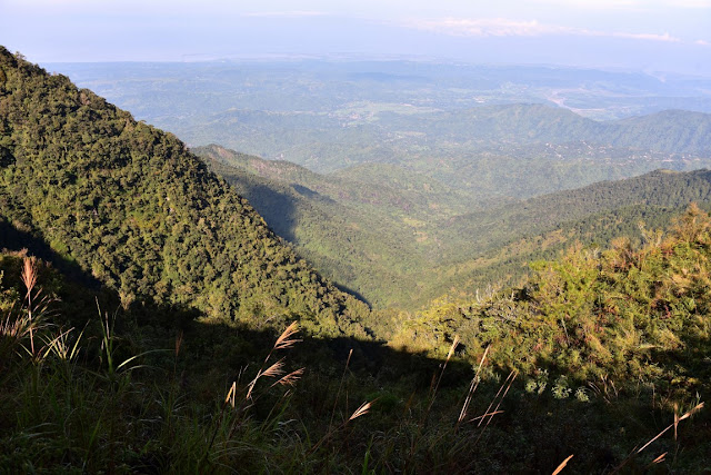Drive and Hike to Mount Sto. Tomas of nearby Baguio - Sandy Adventures
