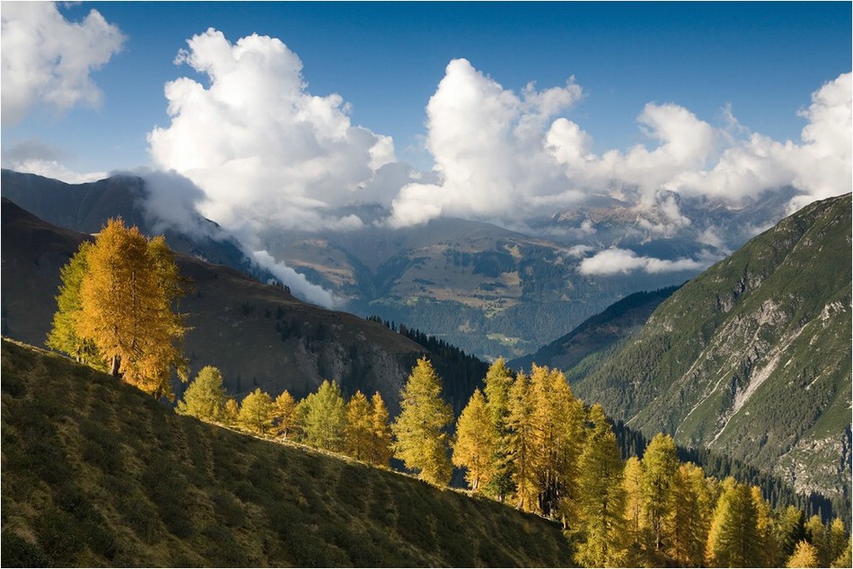 HIGH DEFINITION IMAGES, HIGH CLARITY IMAGES, HIGH RESOLUTION IMAGES: 8 ...