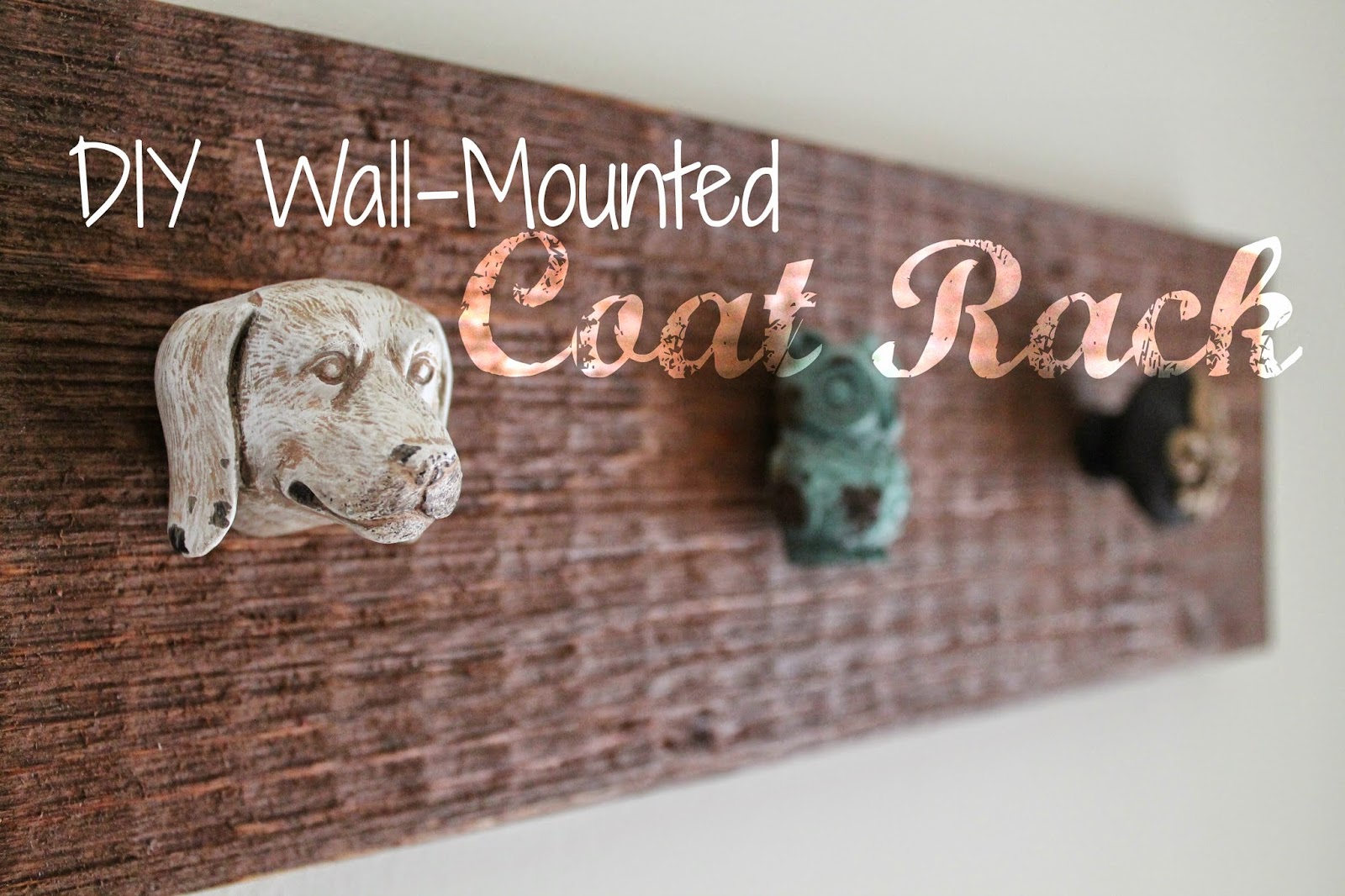 Life, Love, and a Ladybug: DIY Wall-Mounted Coat Rack