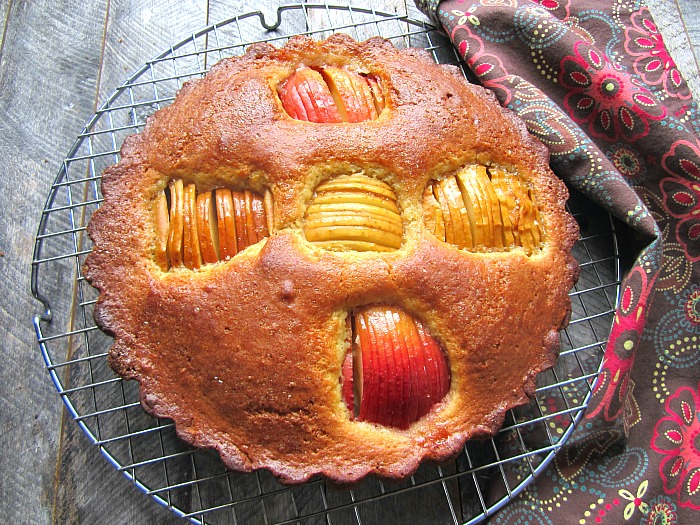 Late January Random Bites